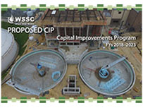 Financial Information