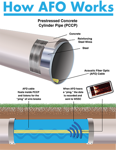Acoustic Fiber Optic Monitoring System