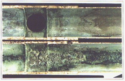 Copper Pipe White Paper | WSSC Water