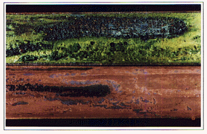 Copper Pipe White Paper | WSSC Water